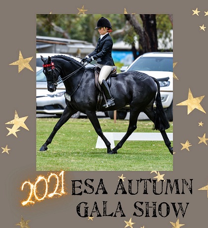 Show Horse | Equestrian South Australia