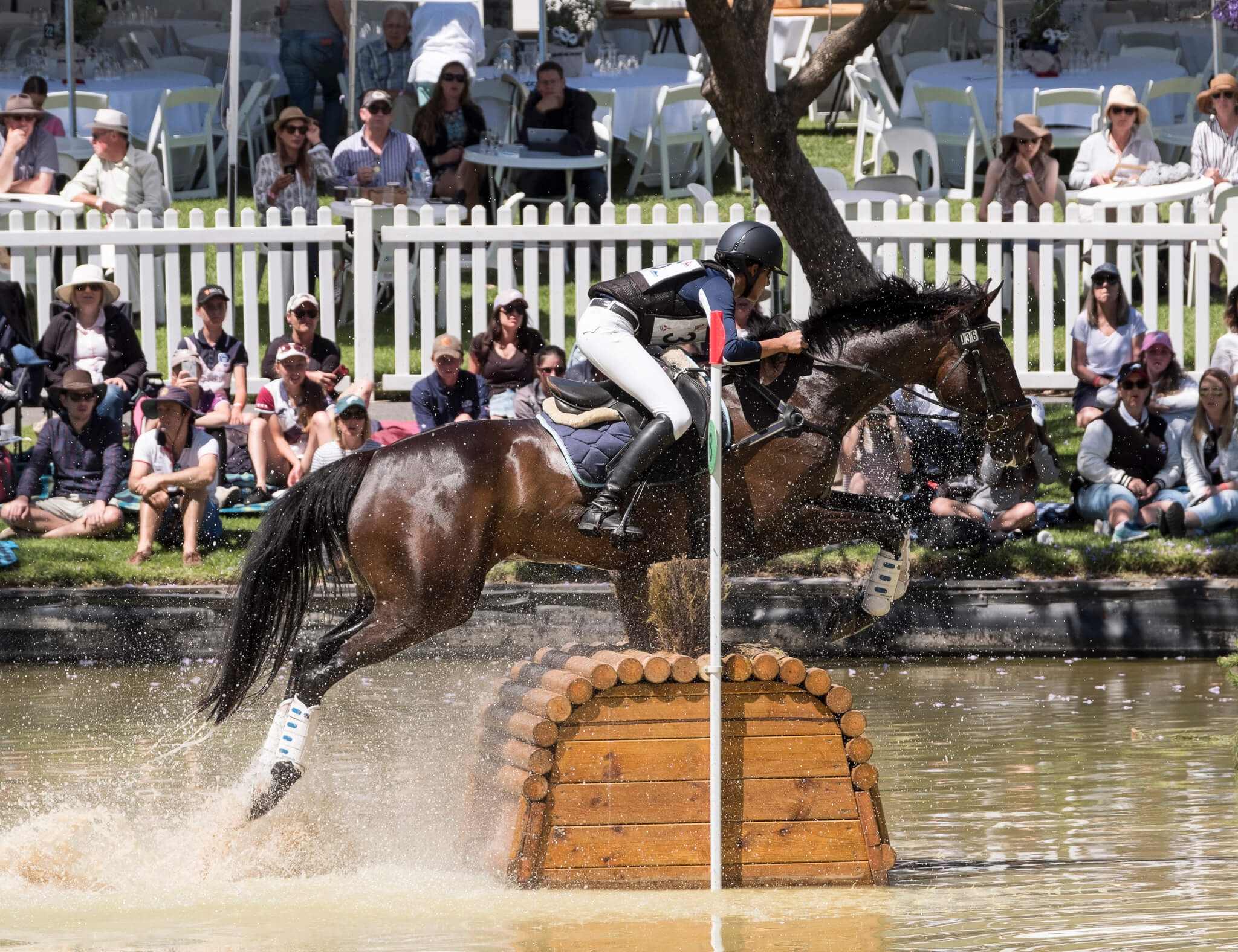 Eventing Update - Feb 19 | Equestrian South Australia